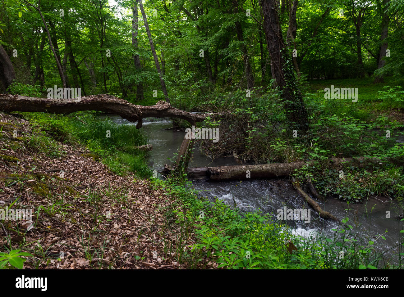 Wallpaper river hi-res stock photography and images - Alamy