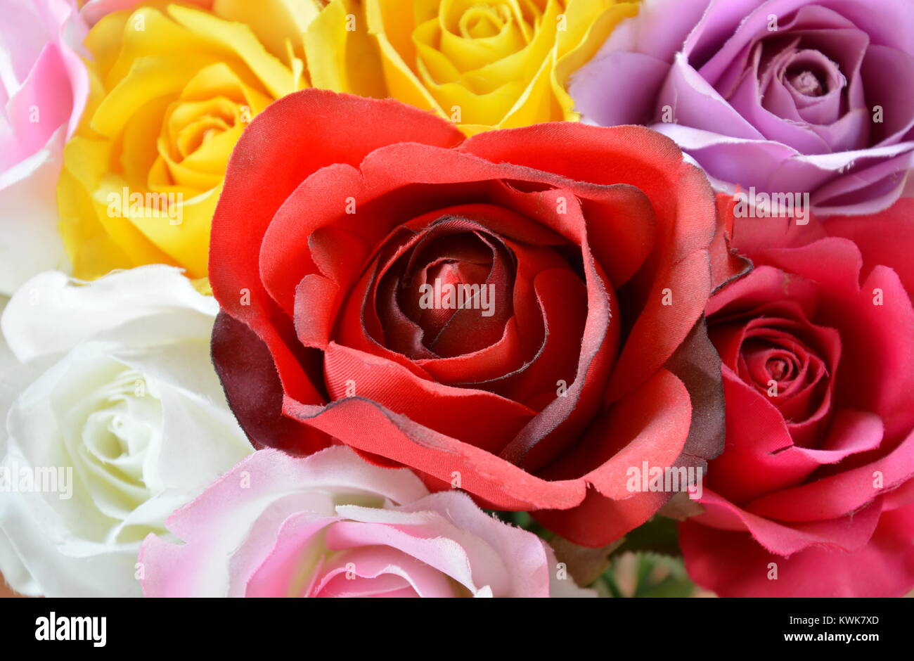 colorful fabric rose texture and background Stock Photo - Alamy