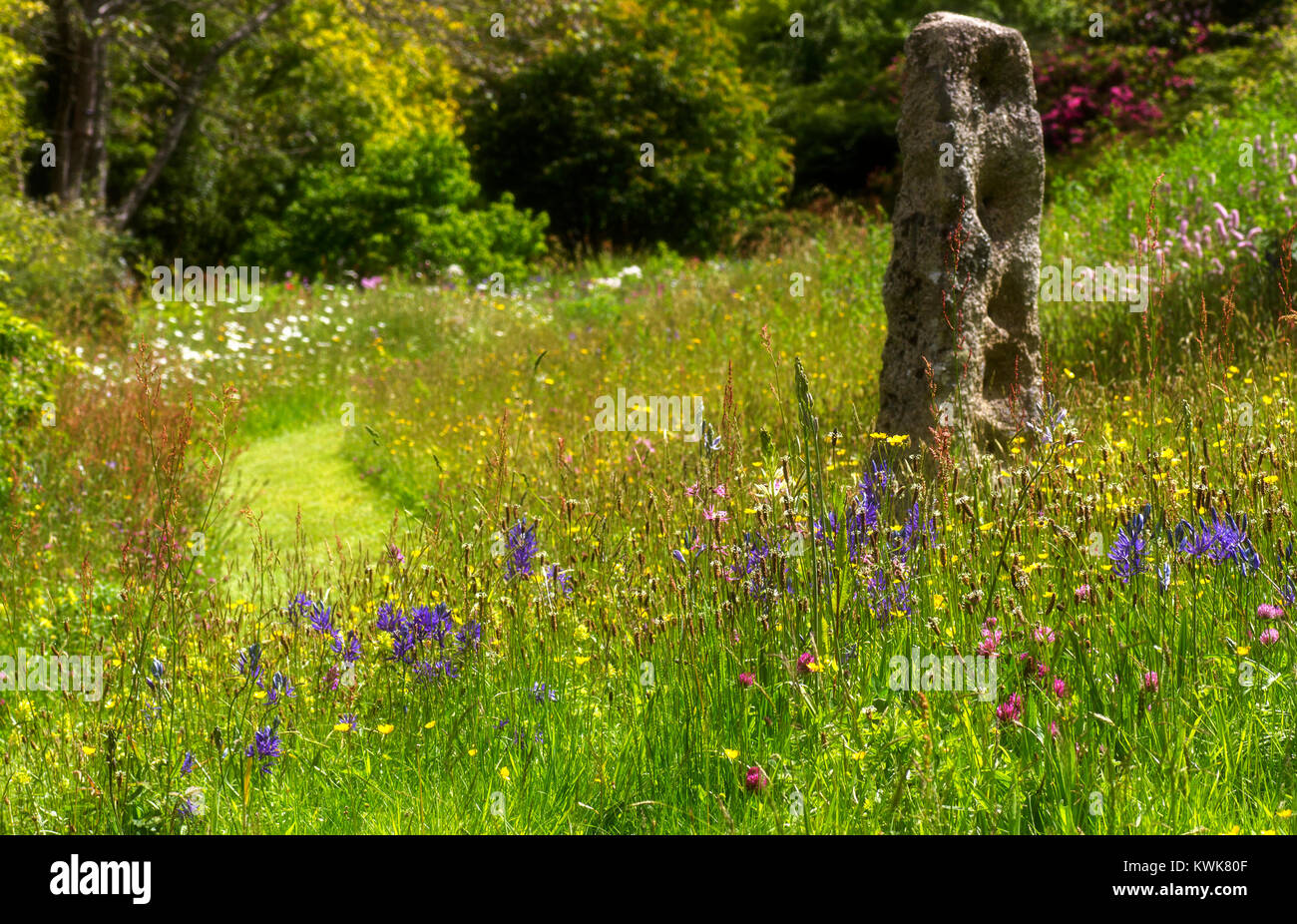 Stone pathway and meadow hi-res stock photography and images - Alamy