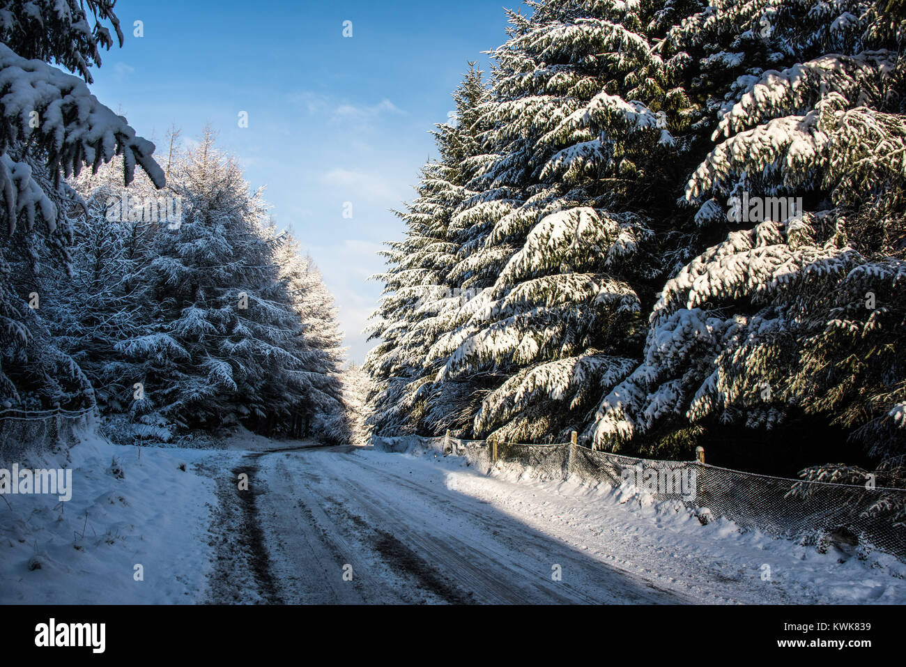 Snowy winter in Aberdeenshire, Scotland Stock Photo - Alamy