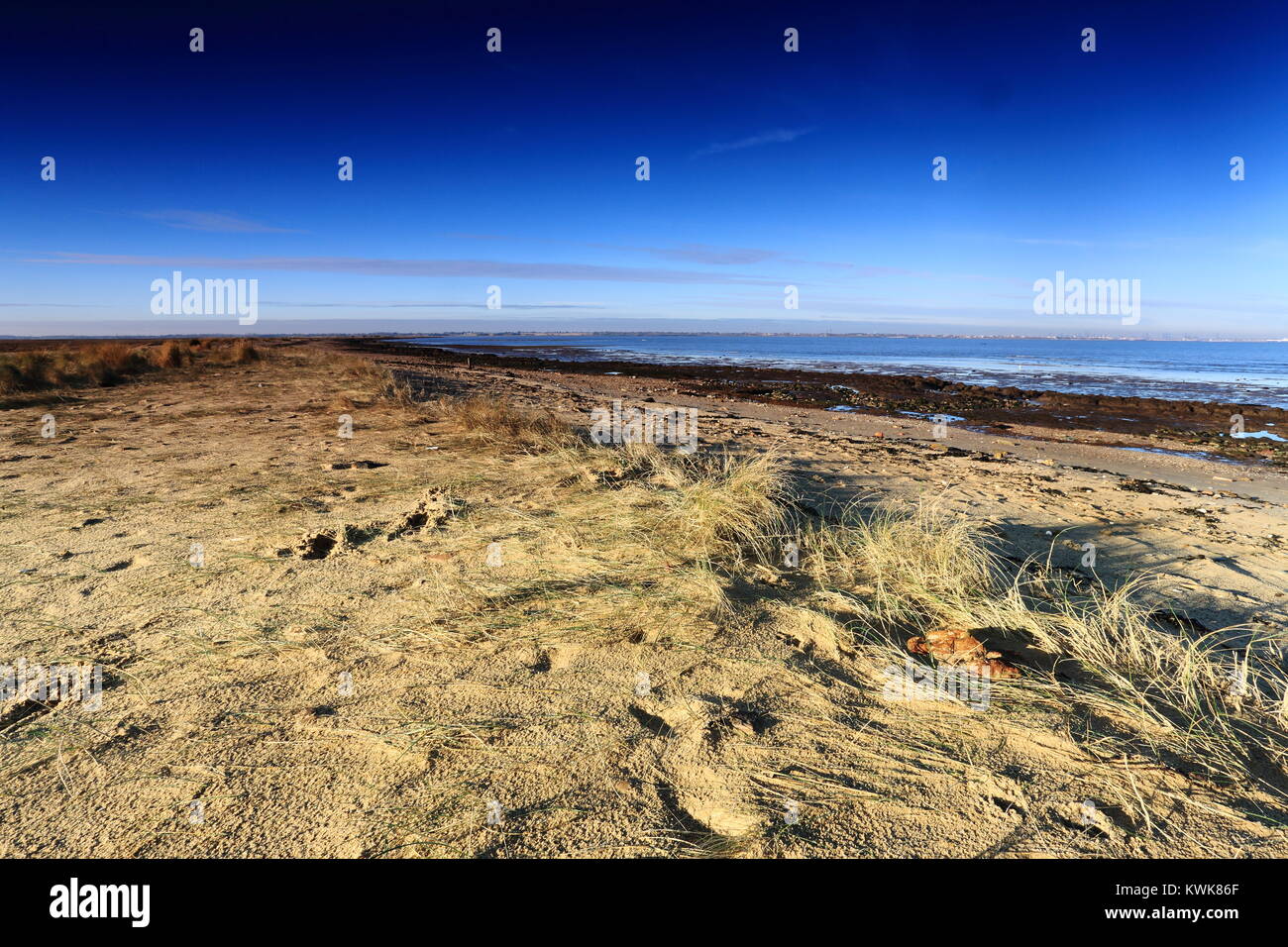 coastal scene on Essex coast in winter Stock Photo - Alamy