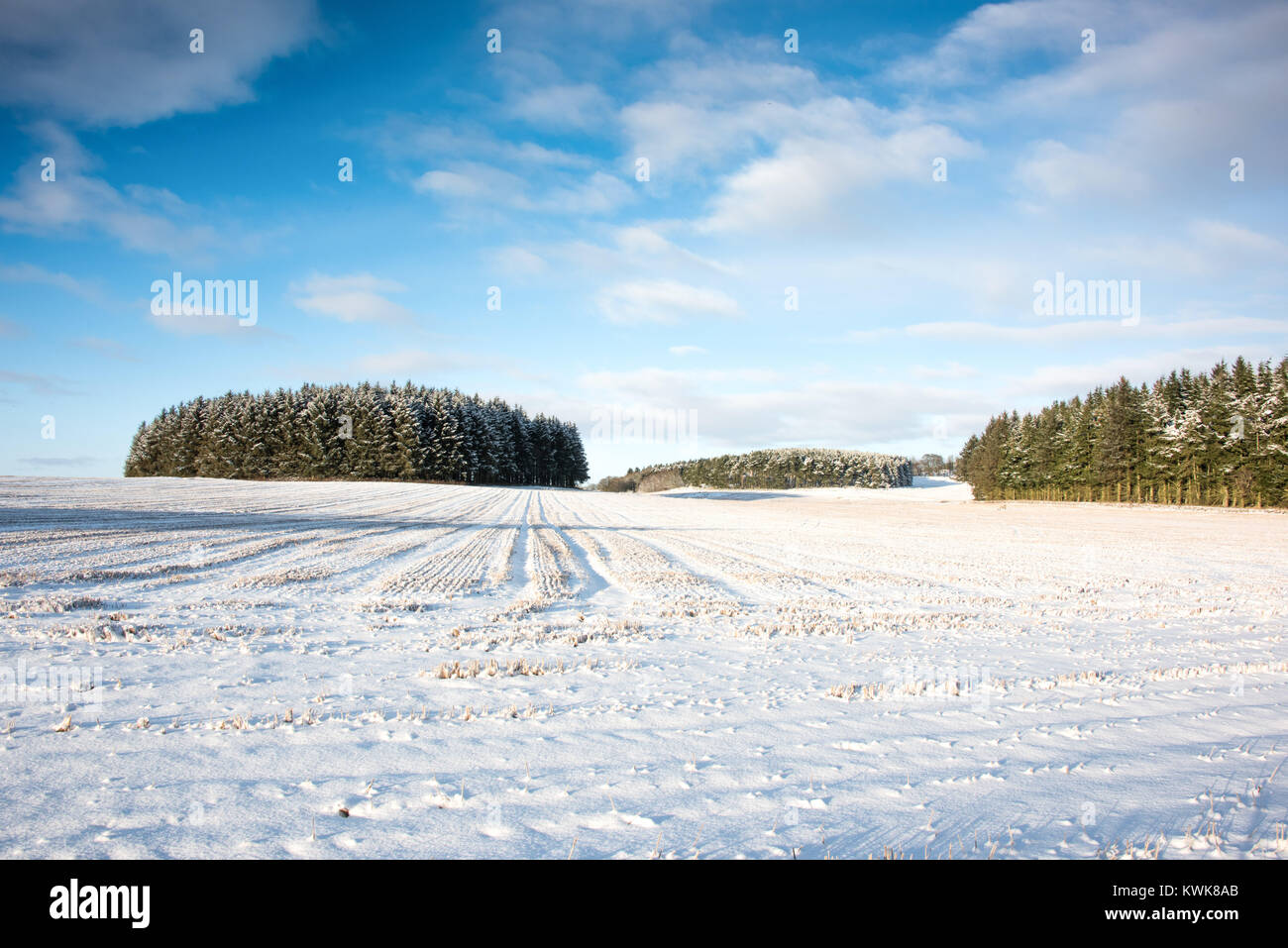 Methlick hi-res stock photography and images - Alamy