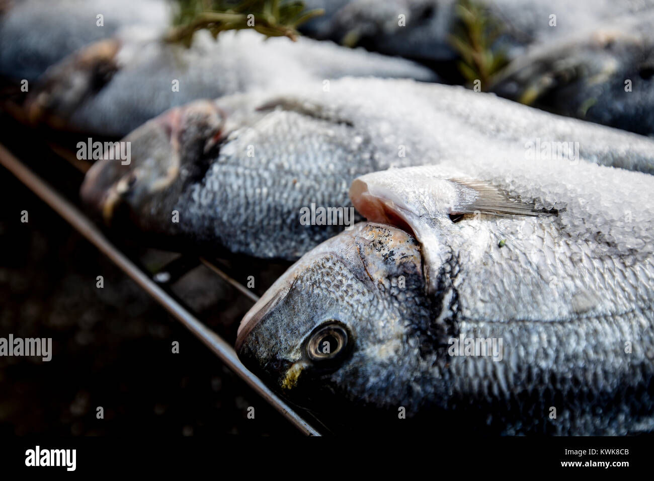 Making gourmet food. Fish and veggie ingredients, fish, grill, avocado ...
