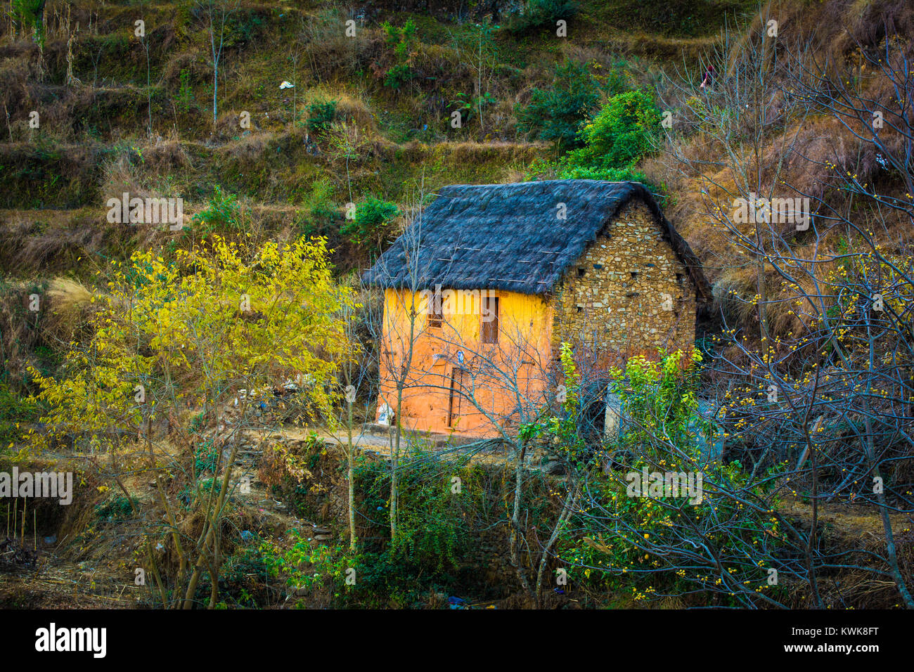 Small orange house hi-res stock photography and images - Alamy