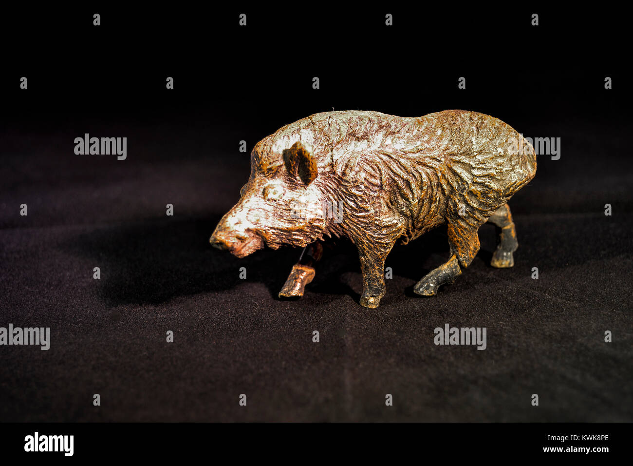 Razorback boar hi-res stock photography and images - Alamy