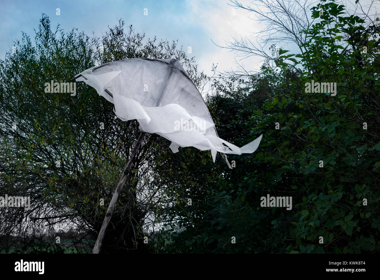 Flying scarecrow hi-res stock photography and images - Alamy