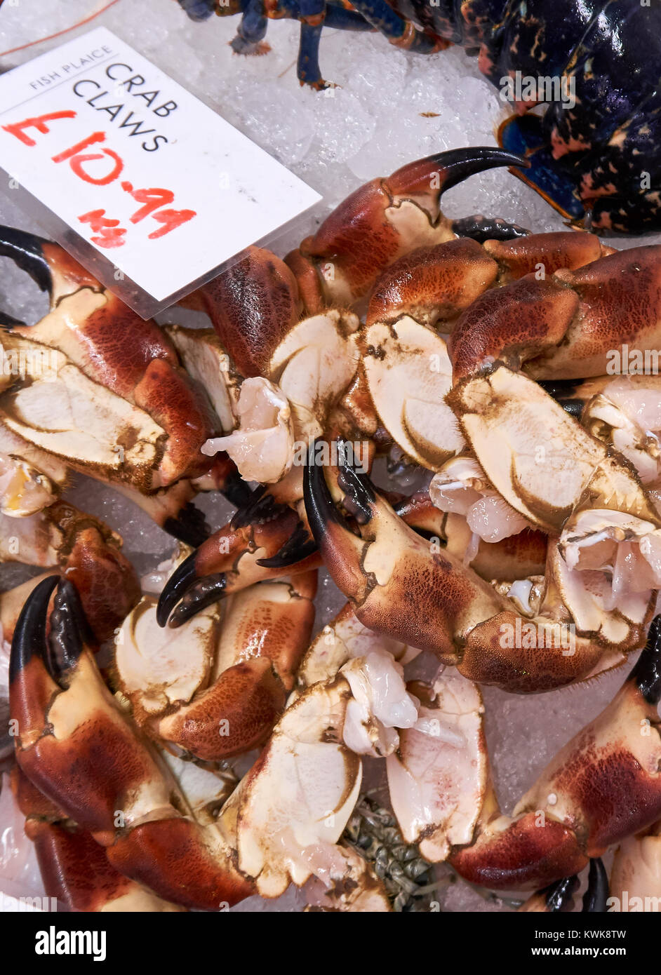 Scottish crab hi-res stock photography and images - Alamy