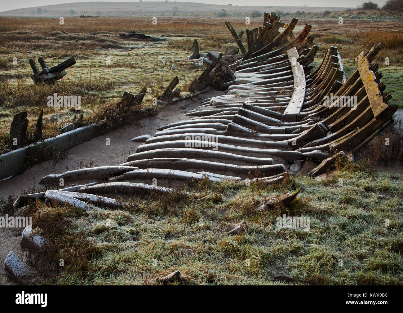 Frosted ribs: frost on the decomposing ribs of one of the Wyre wrecks ...