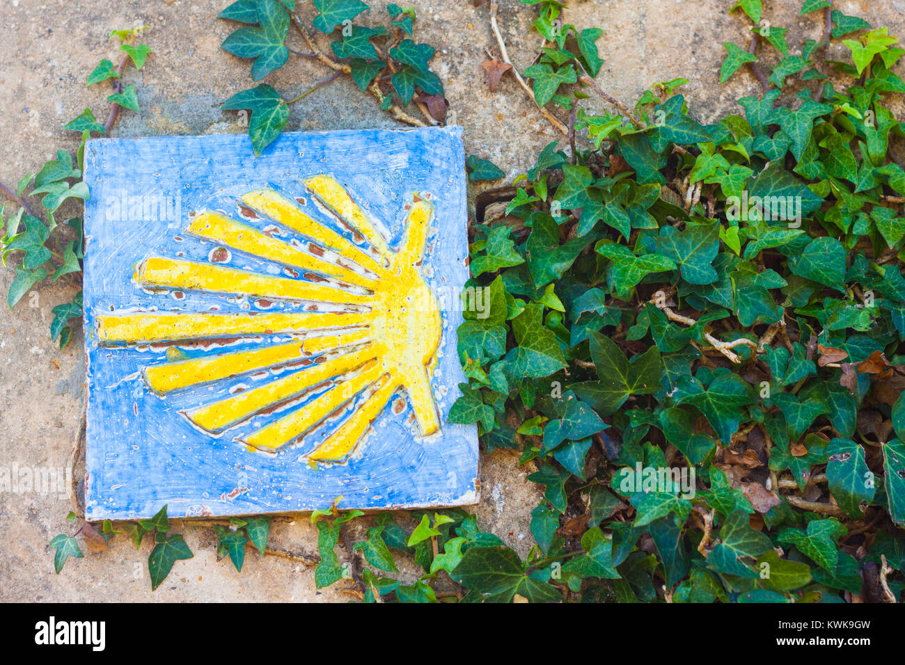 Camino de Santiago, or Way of Saint James, shell sign on the stone wall ...