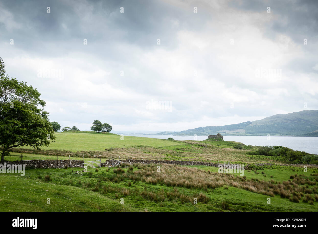 View of 13th Century ruined Ardtornish Castle and the Sound of Mull ...