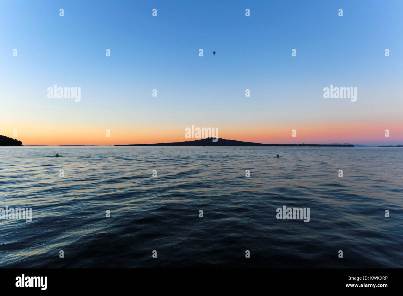Rangitoto island in sunset time Stock Photo - Alamy