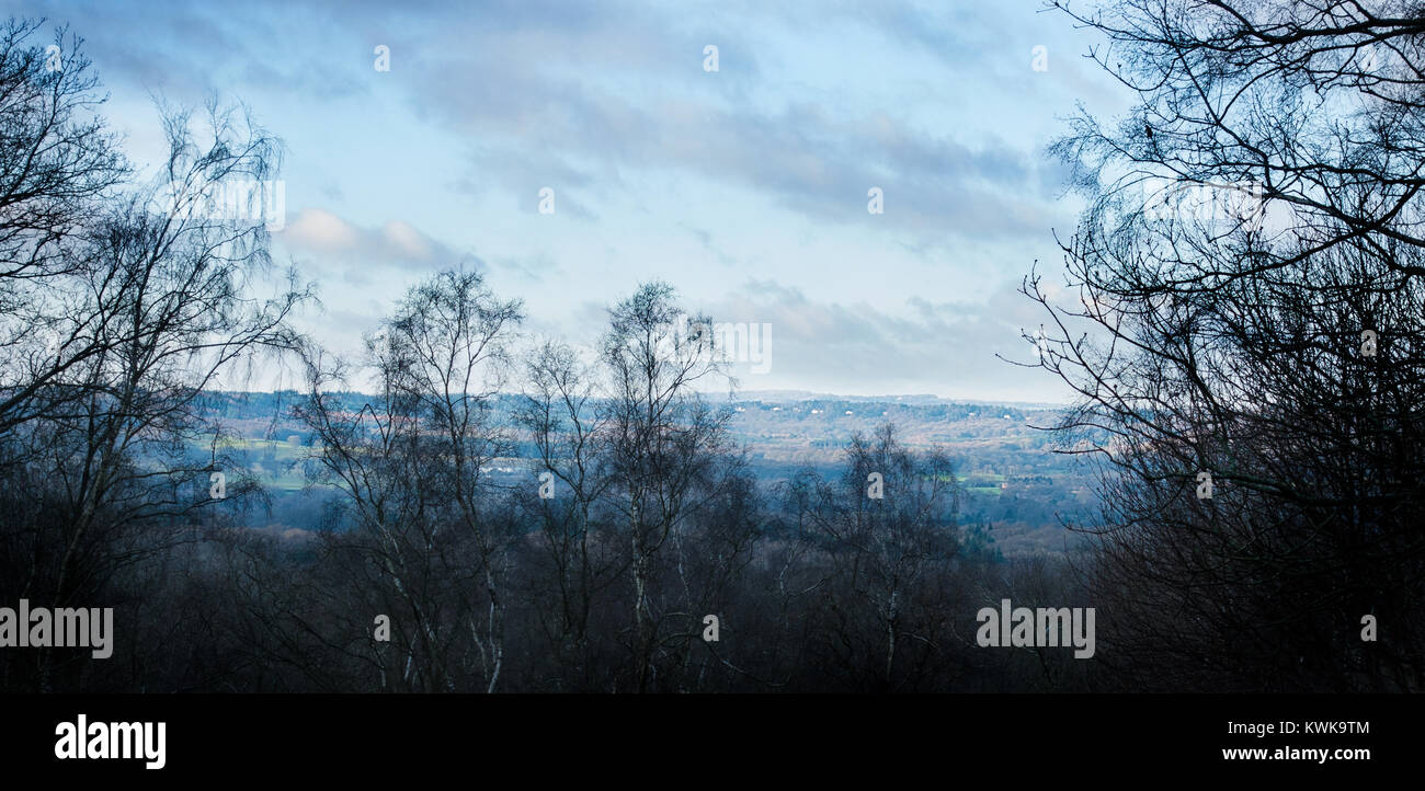 Woolbeding hi-res stock photography and images - Alamy