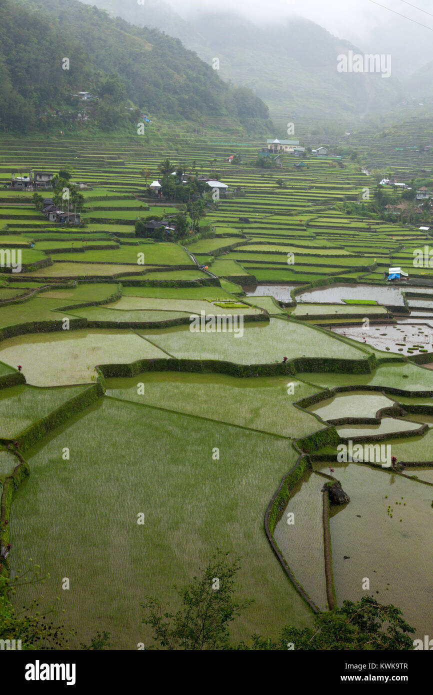 Rice terraces philippines hi-res stock photography and images - Alamy