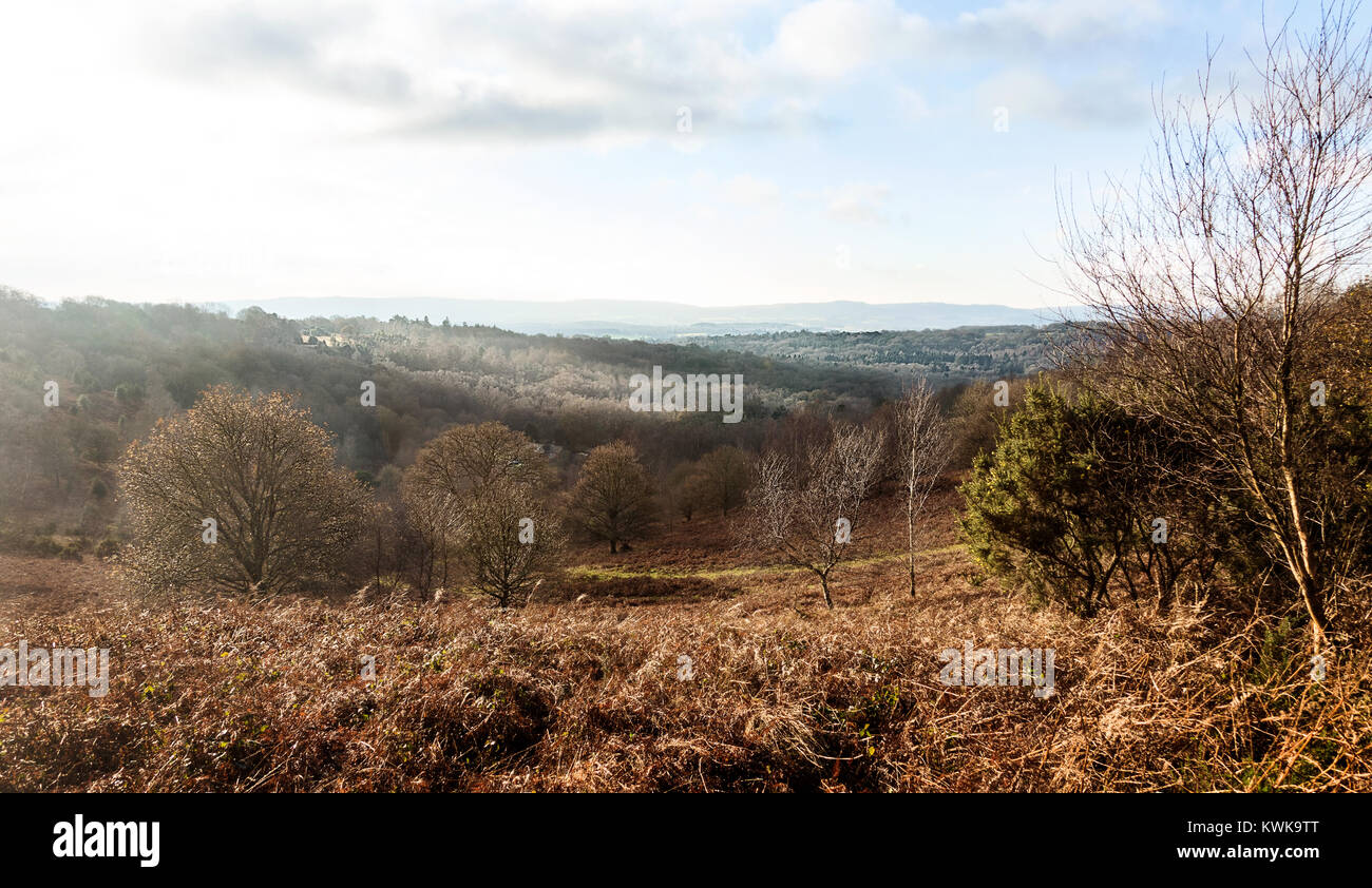 Woolbeding hi-res stock photography and images - Alamy