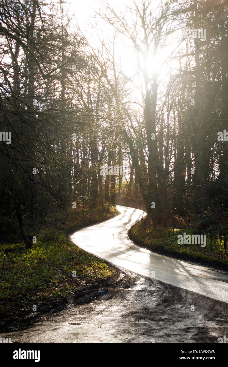 Winding road, Liphook, Hampshire, England, UK Stock Photo - Alamy