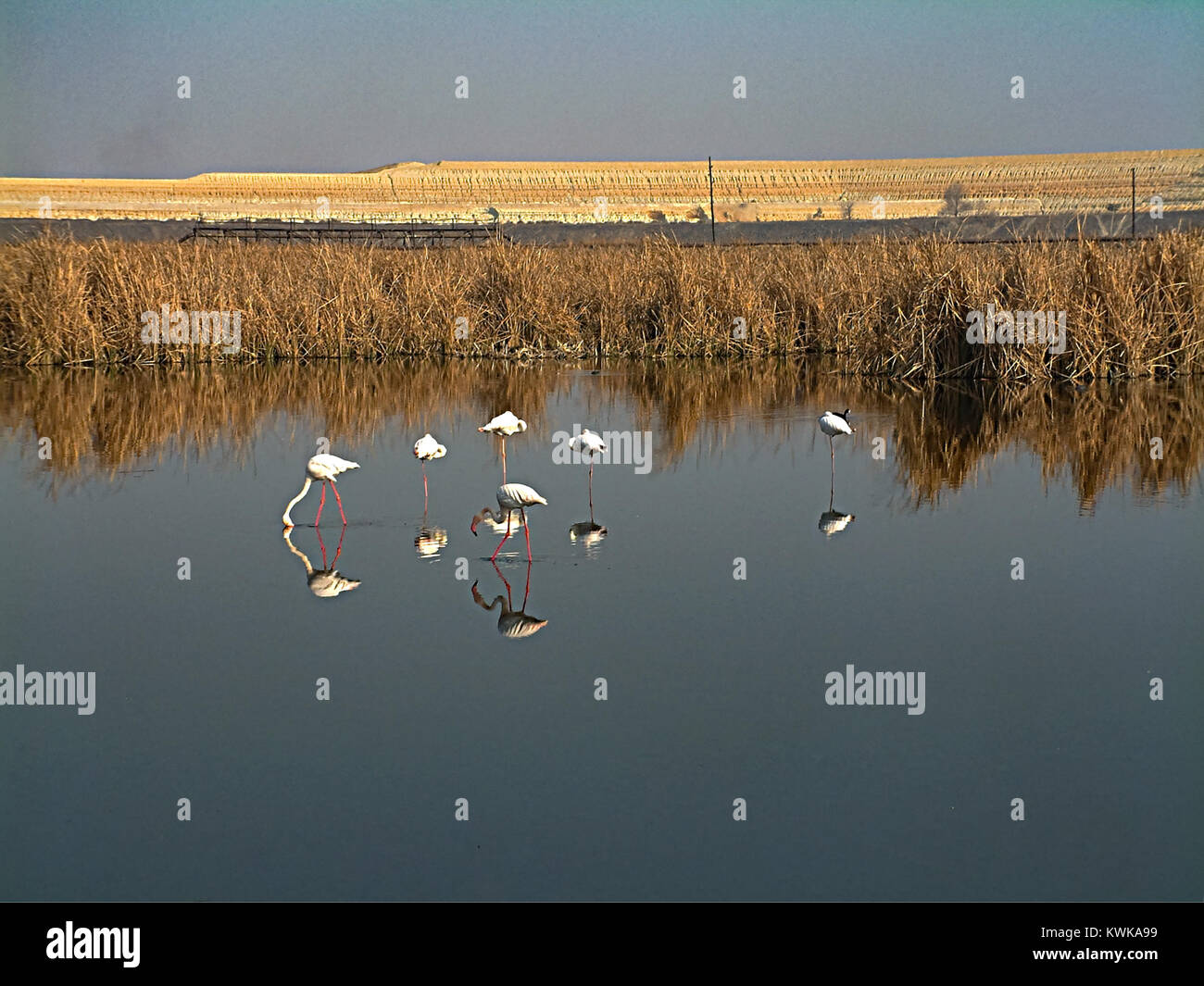 Mine dumps hi-res stock photography and images - Alamy