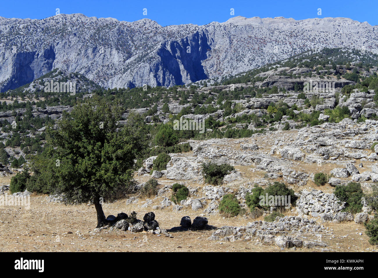 Paul trail turkey hi-res stock photography and images - Alamy