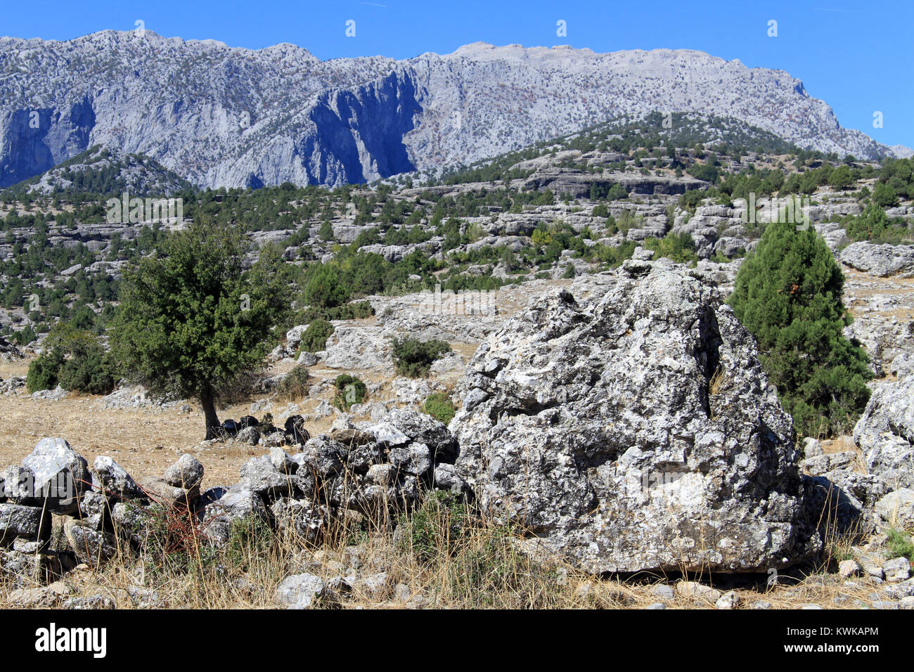 Paul trail turkey hi-res stock photography and images - Alamy