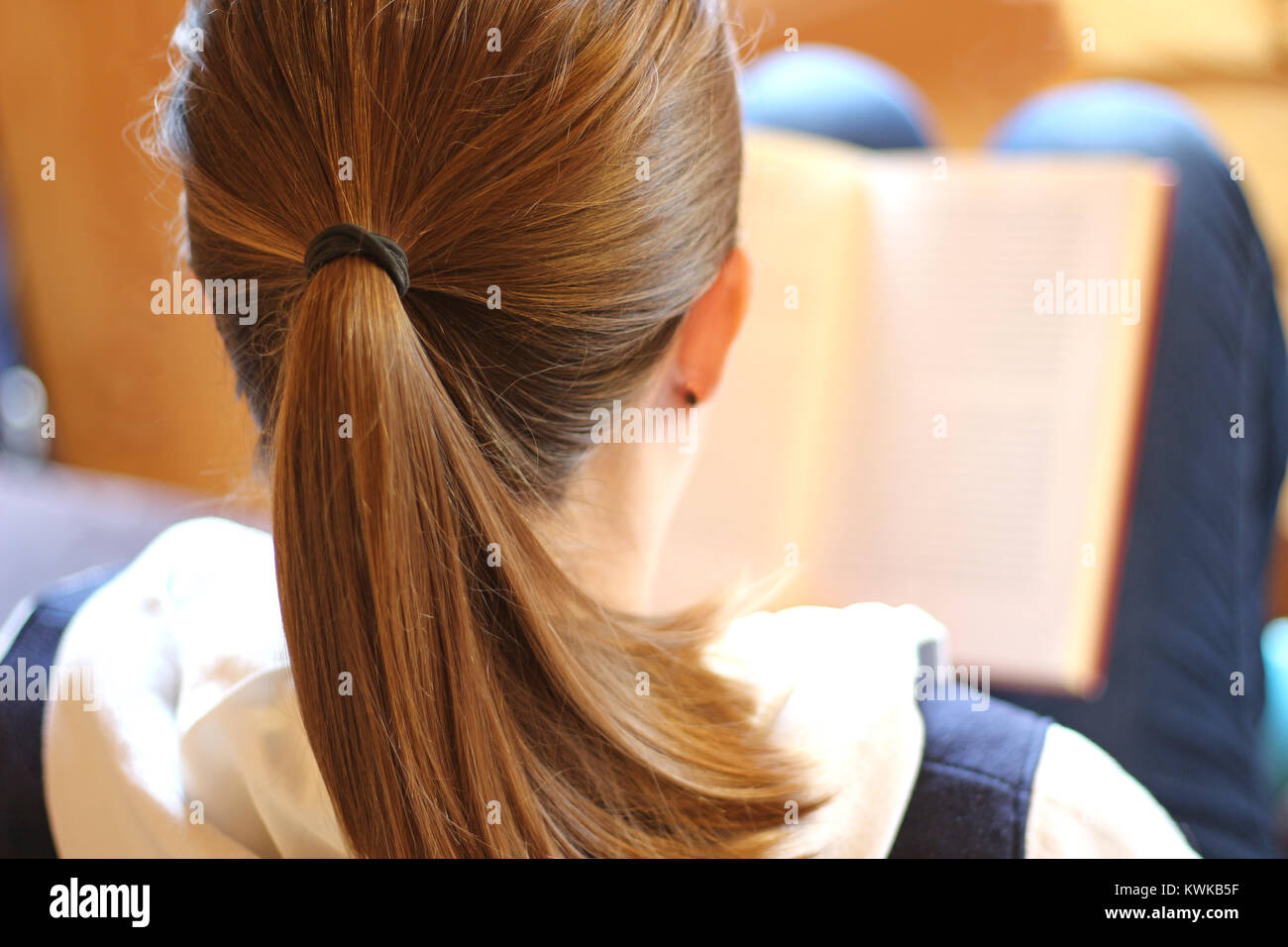 young woman with a ponytail on a sofa, reading a book, rear view Stock ...