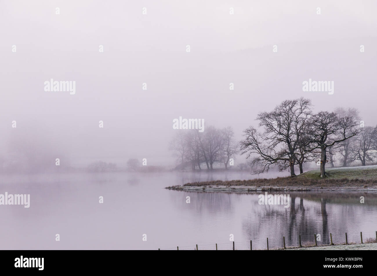A cold morning scene on a lake with few trees on a shore and background ...