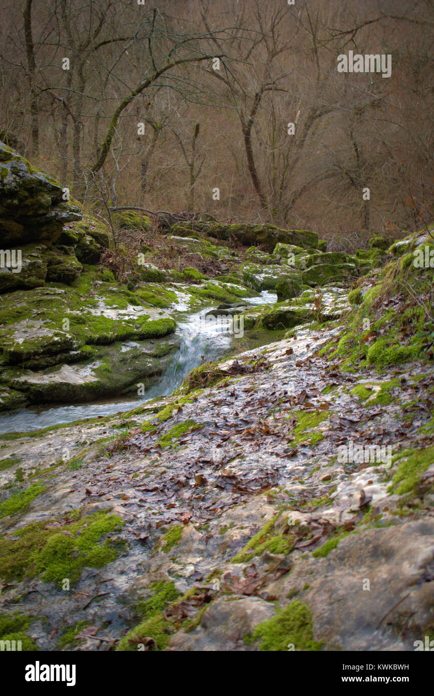 Mountain spring in the forest Stock Photo - Alamy