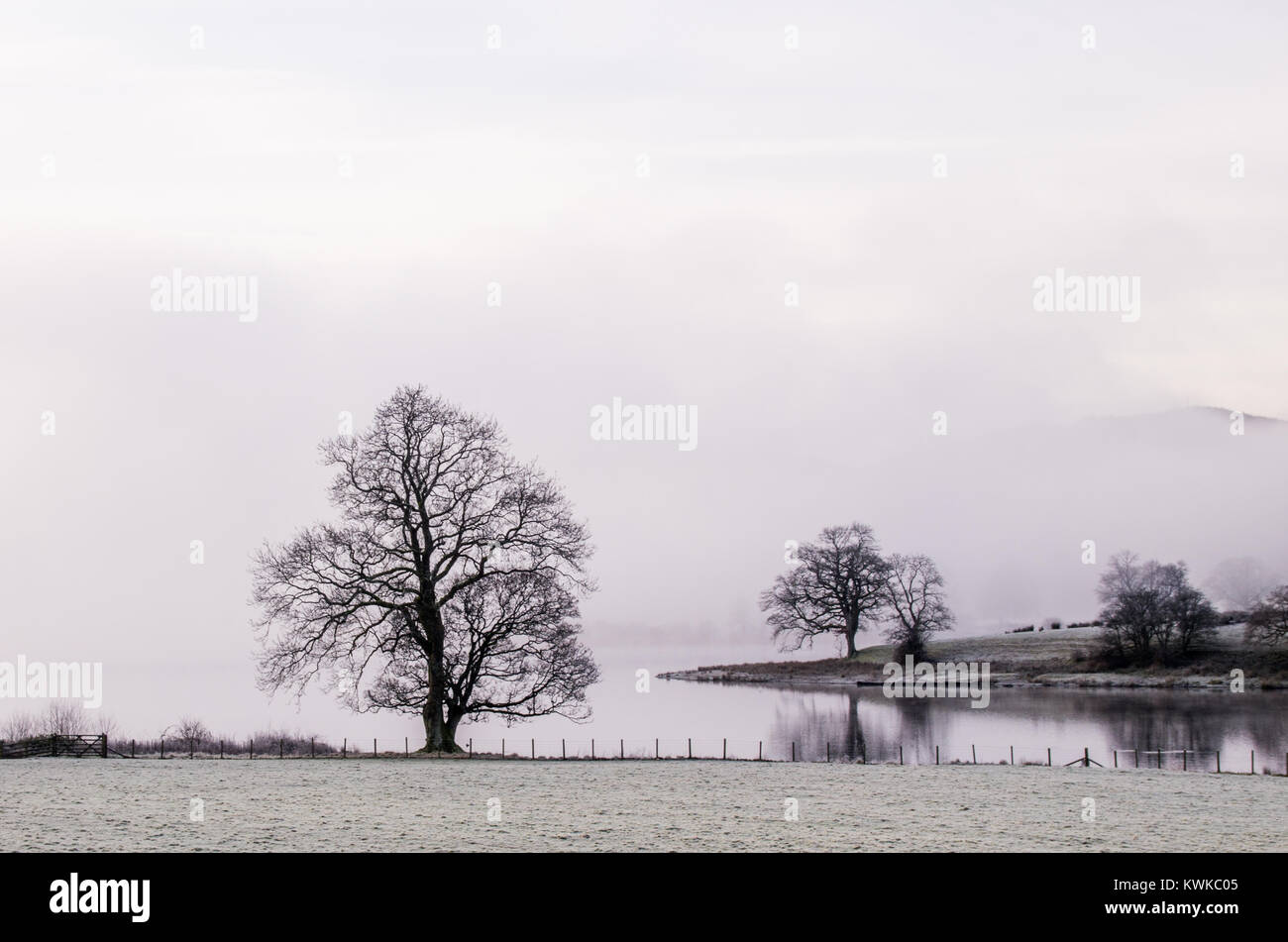 A cold winter morning scene on Esthwaite water with few trees on lake ...