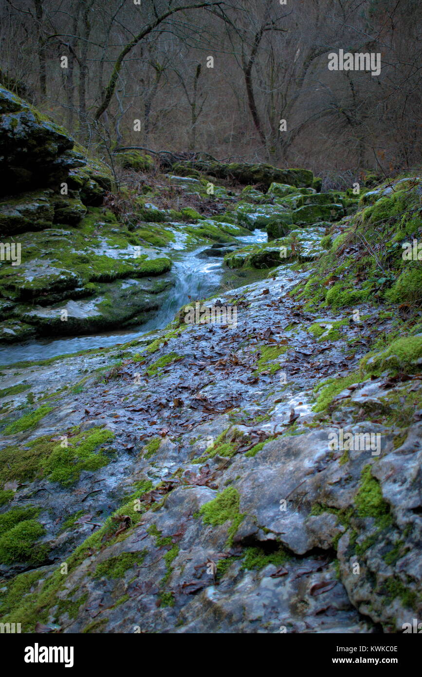 Mountain spring in the forest Stock Photo - Alamy