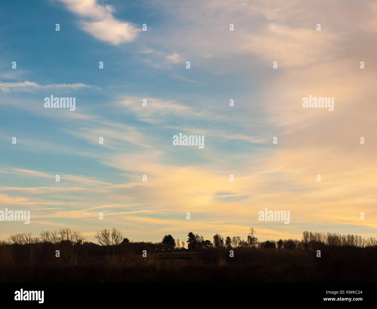 blue countryside sky with trees horizon empty space nature; essex ...