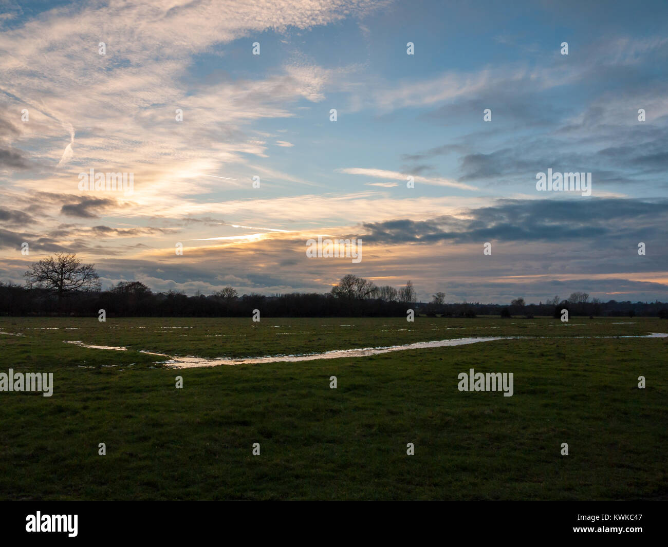 empty wet grass field low light sunset landscape dedham; essex; england ...