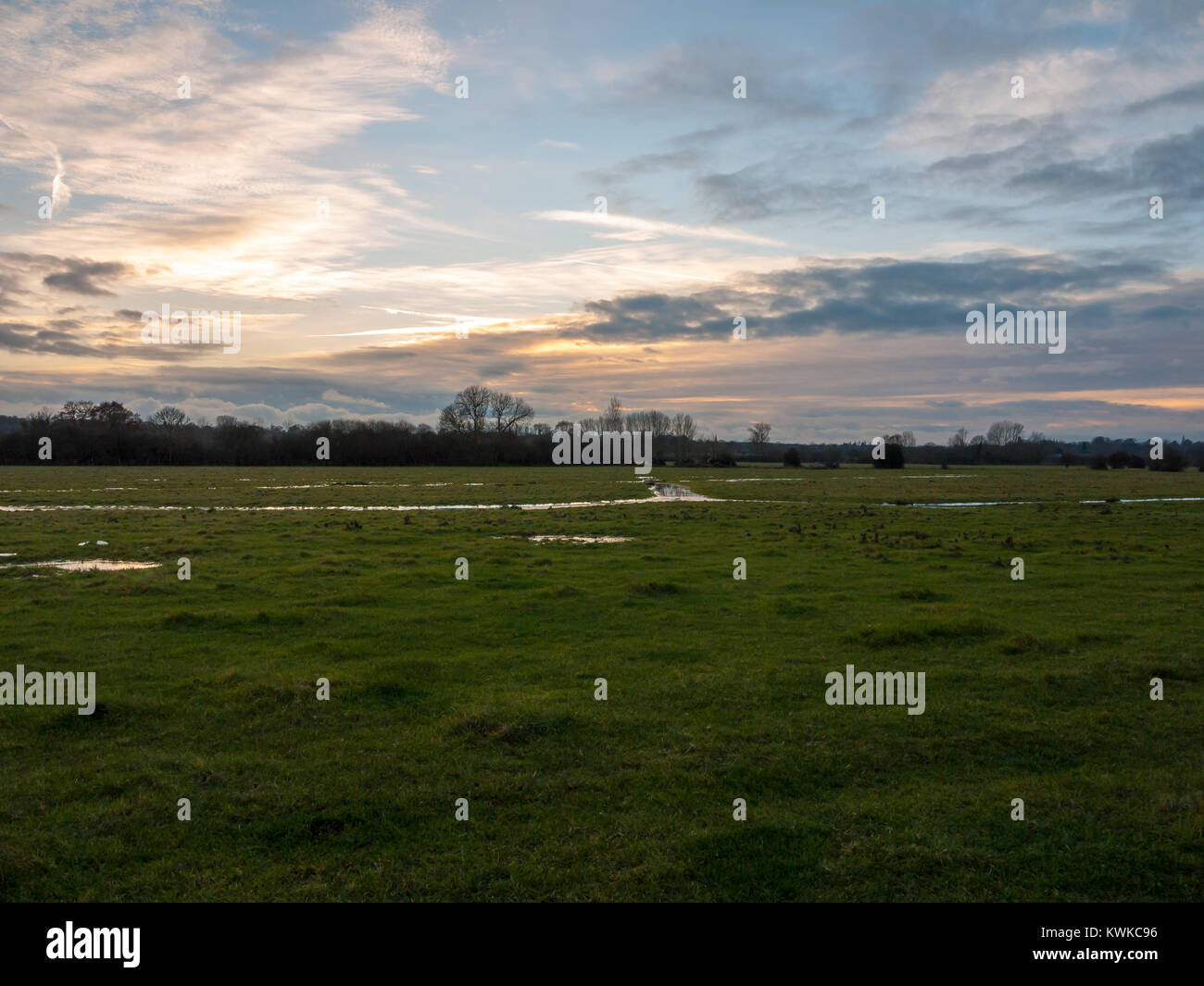 empty wet grass field low light sunset landscape dedham plain empty no ...