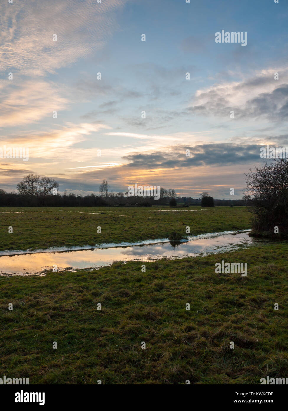 empty wet grass field low light sunset landscape dedham plain empty no ...