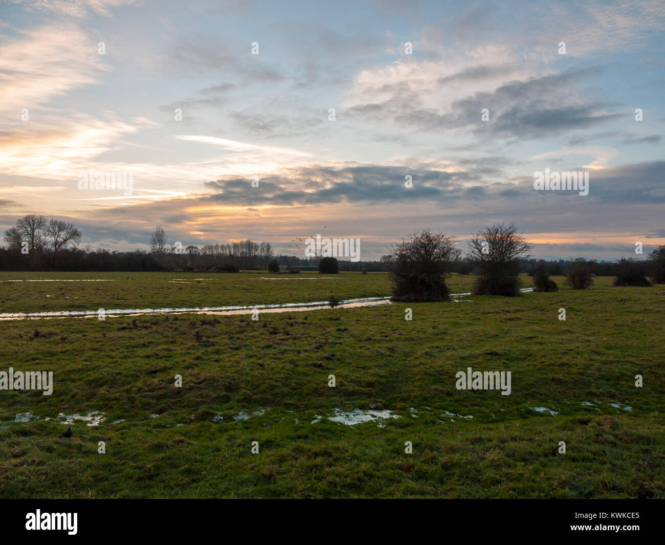 empty wet grass field low light sunset landscape dedham plain empty no ...