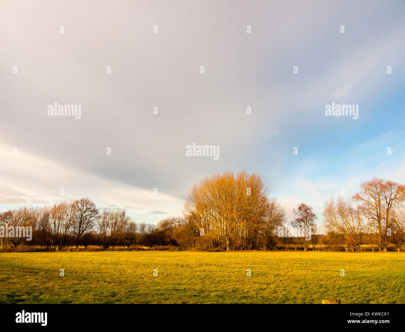 open empty green farming pasture field no people trees cloudy sky space ...