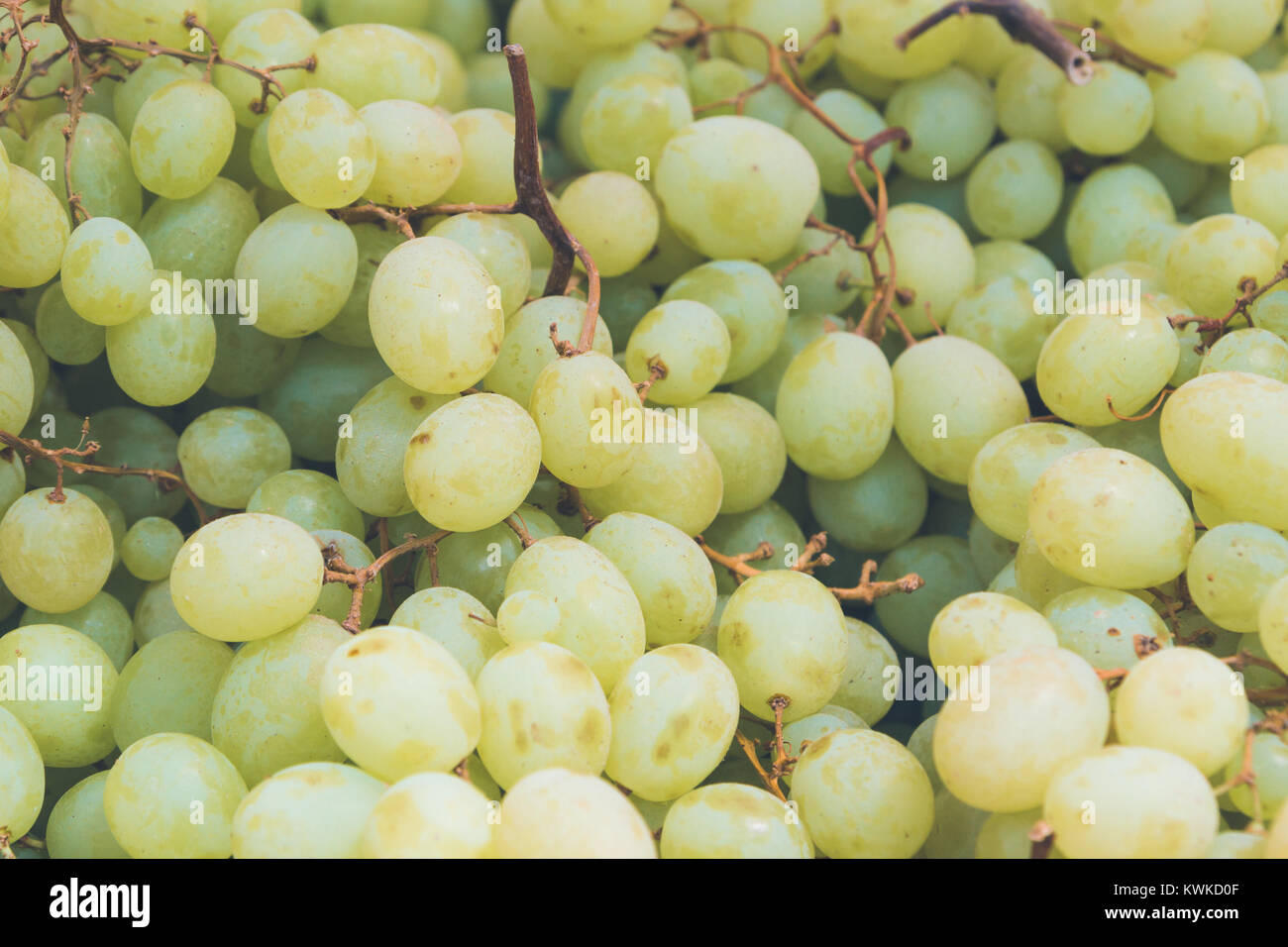 Ripe delicious grapes in the market on the counter Stock Photo - Alamy