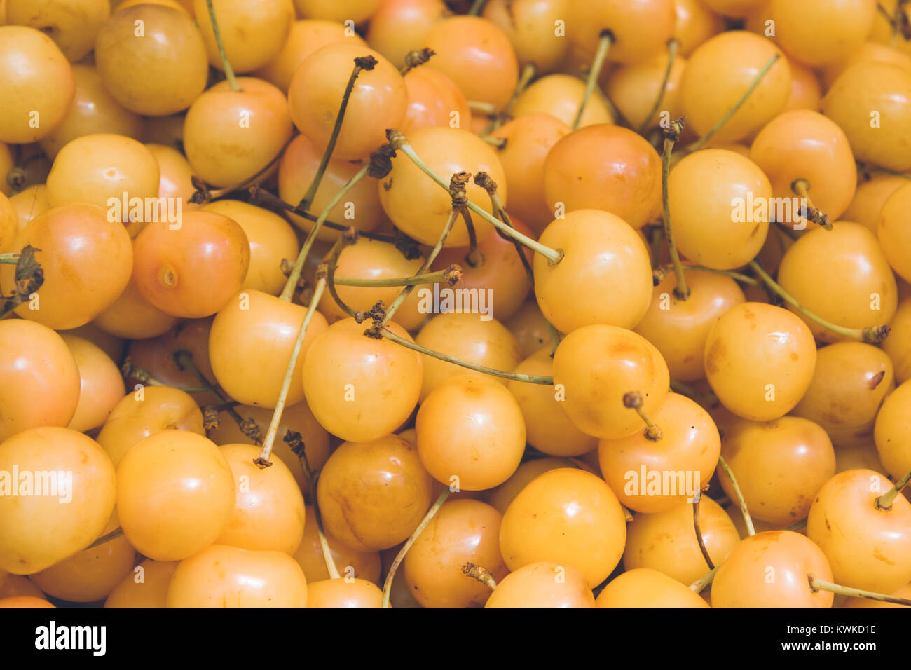 Yellow cherries hi-res stock photography and images - Alamy