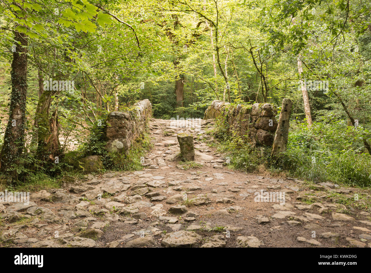 Dartmoor devon river landscape arch hi-res stock photography and images ...