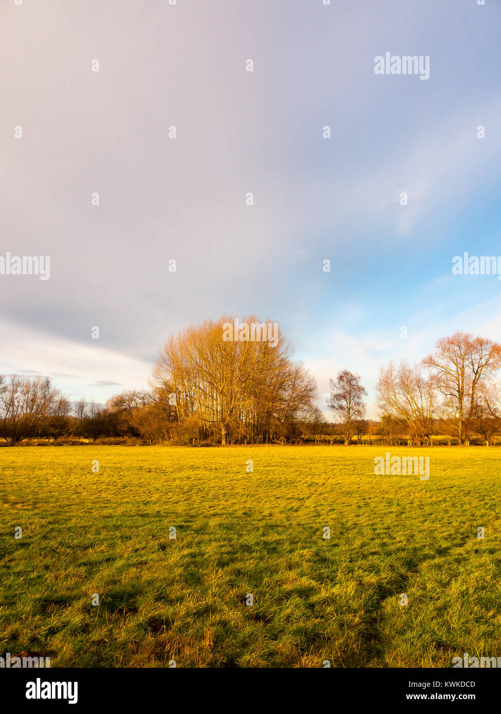 open empty green farming pasture field no people trees cloudy sky space ...