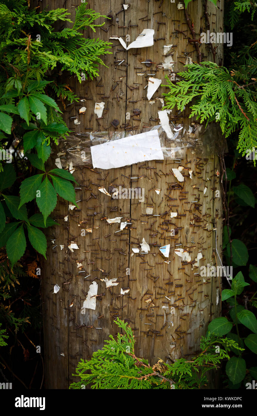 Old staples hi-res stock photography and images - Alamy