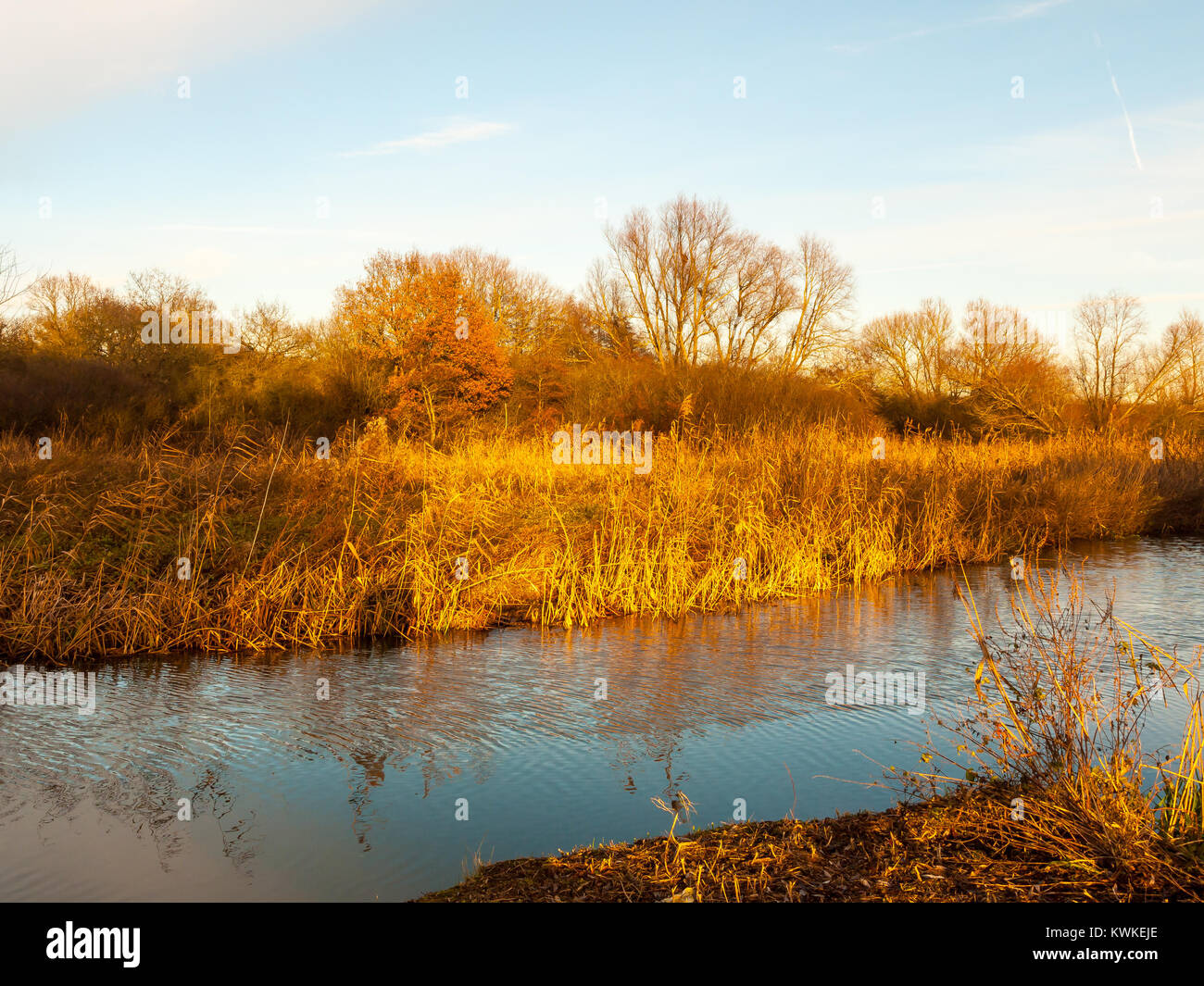 river lake passing water landscape scene shrubs trees space sky; essex ...