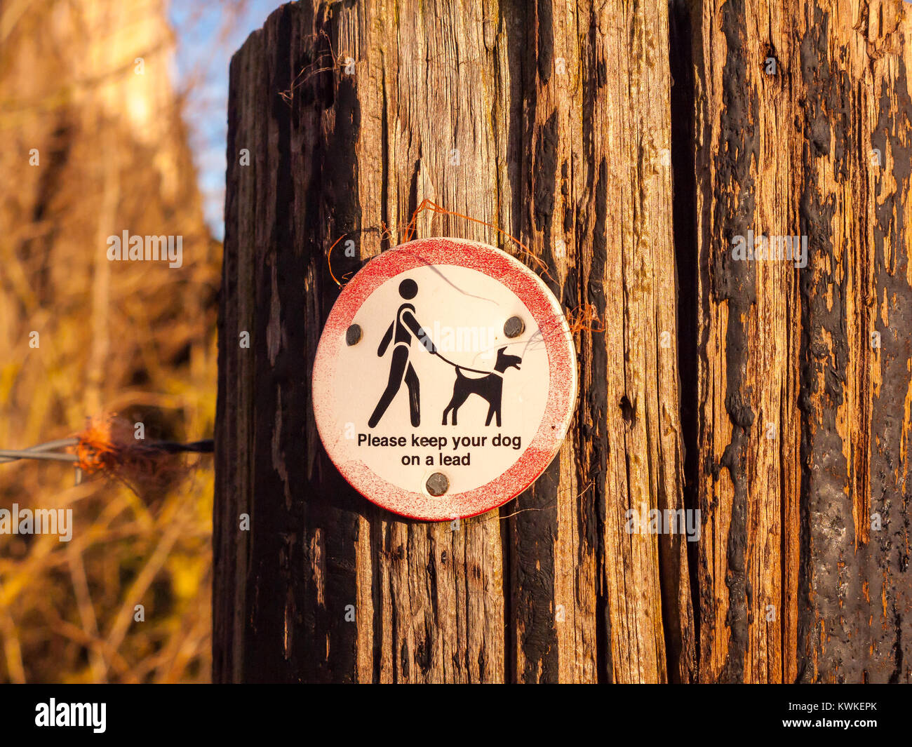 public walking wooden sign post dog sign please keep your dog on a lead ...