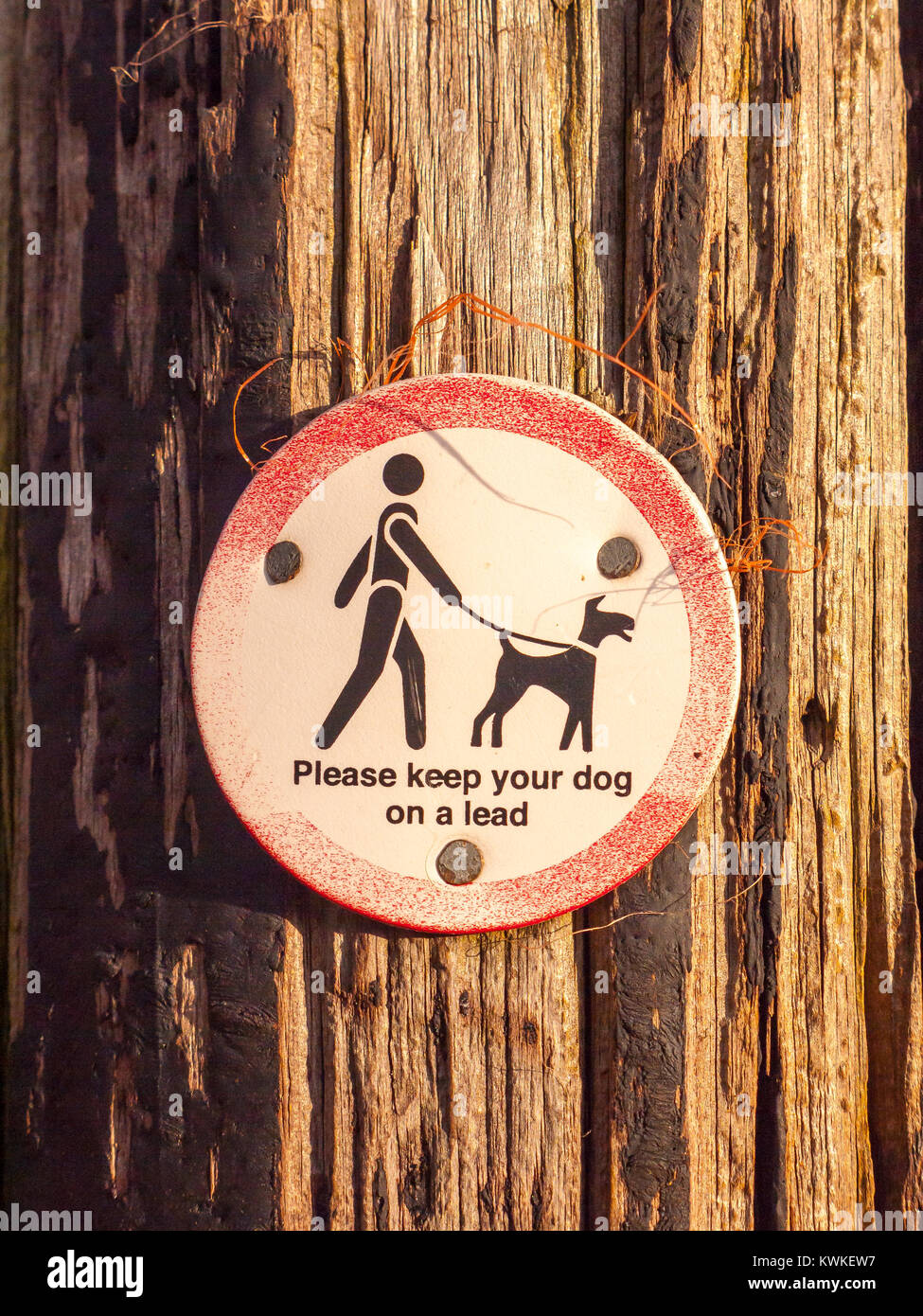 public walking wooden sign post dog sign please keep your dog on a lead ...