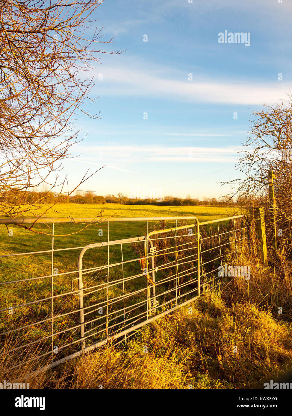 farmland metal farm gate field closed locked agriculture nature ...
