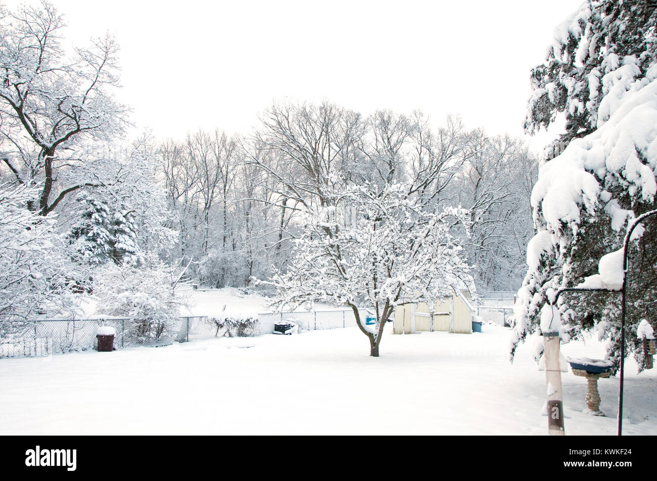 20160409 Snow on Trees Stock Photo - Alamy