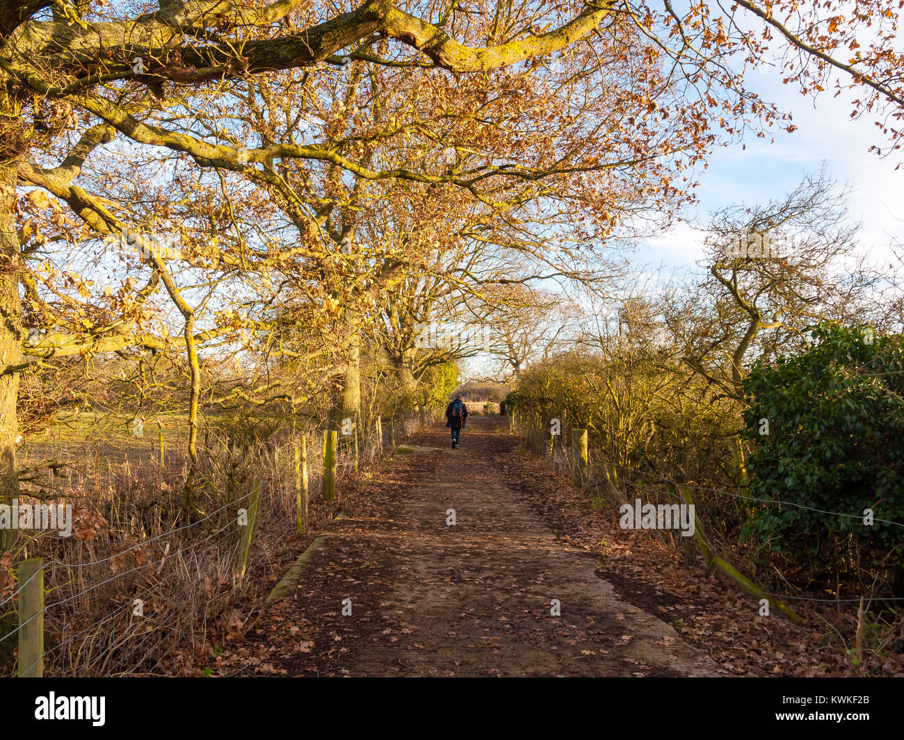 man walking down autumn country path lane rambling outside nature way ...