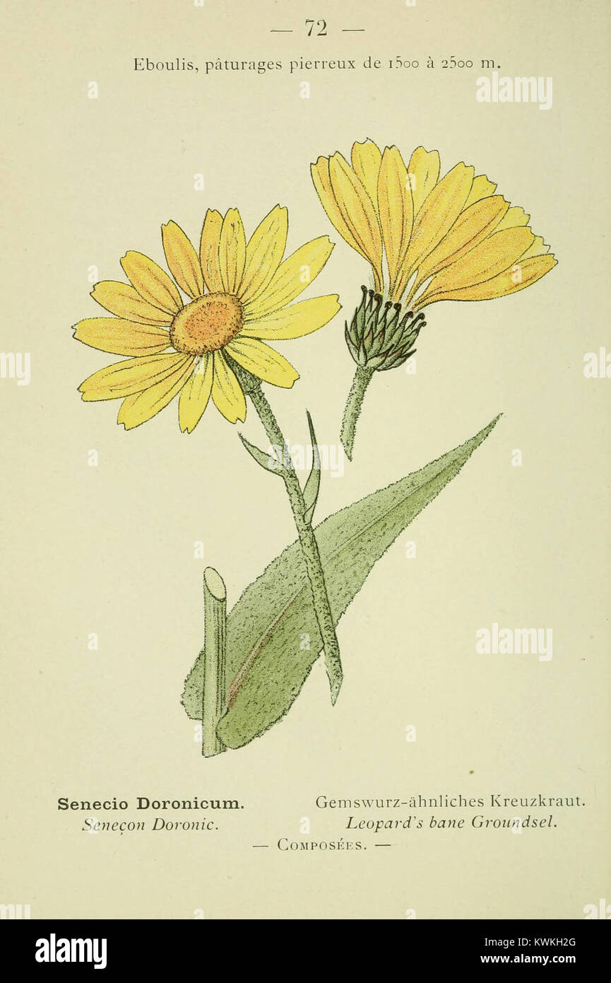 A pocket guide to the flora of the Alps and Pyrenees, featuring color ...