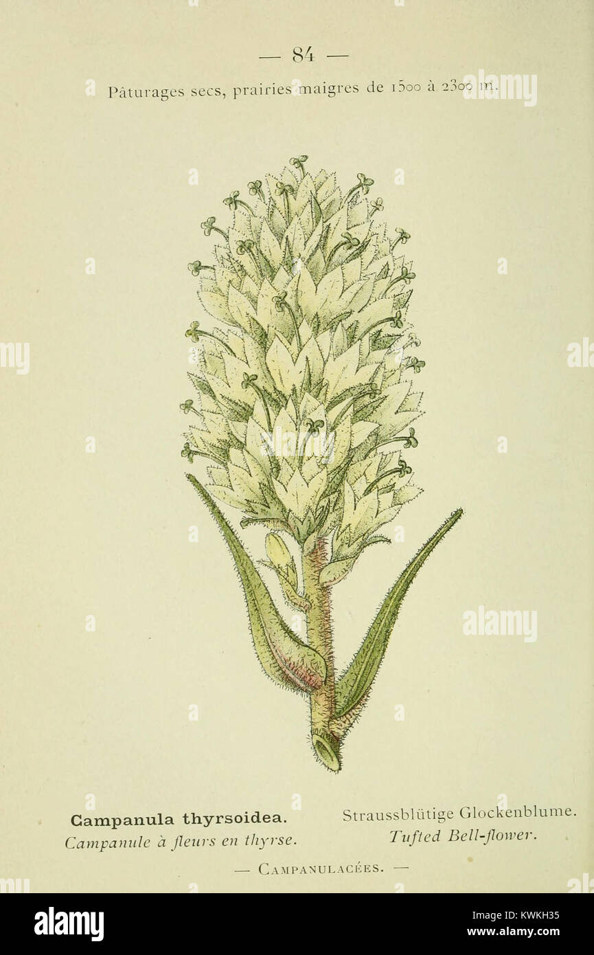 This pocket botanical guide features color illustrations of plants ...