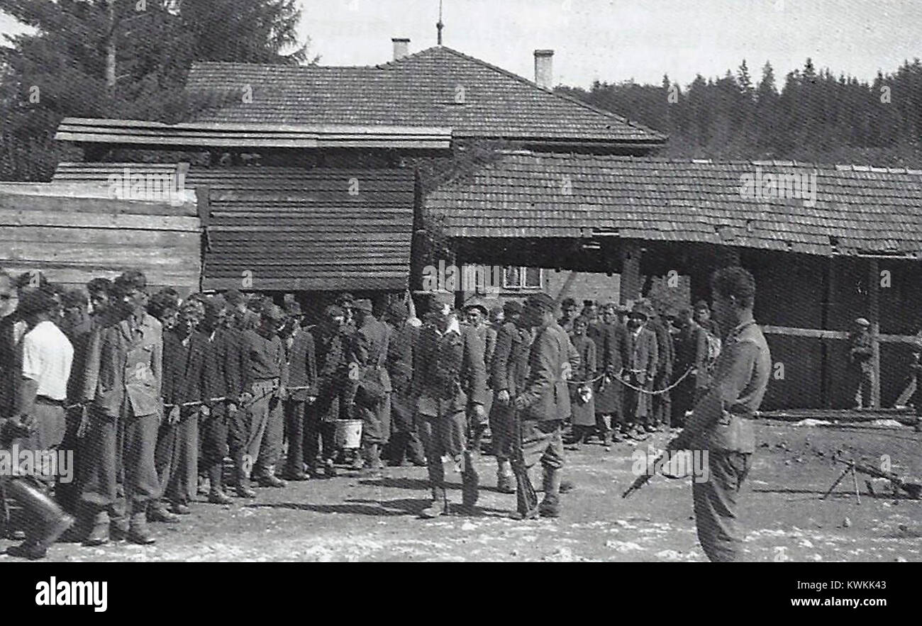 Photograph showing captured MVAC members from Turjak Castle being led ...