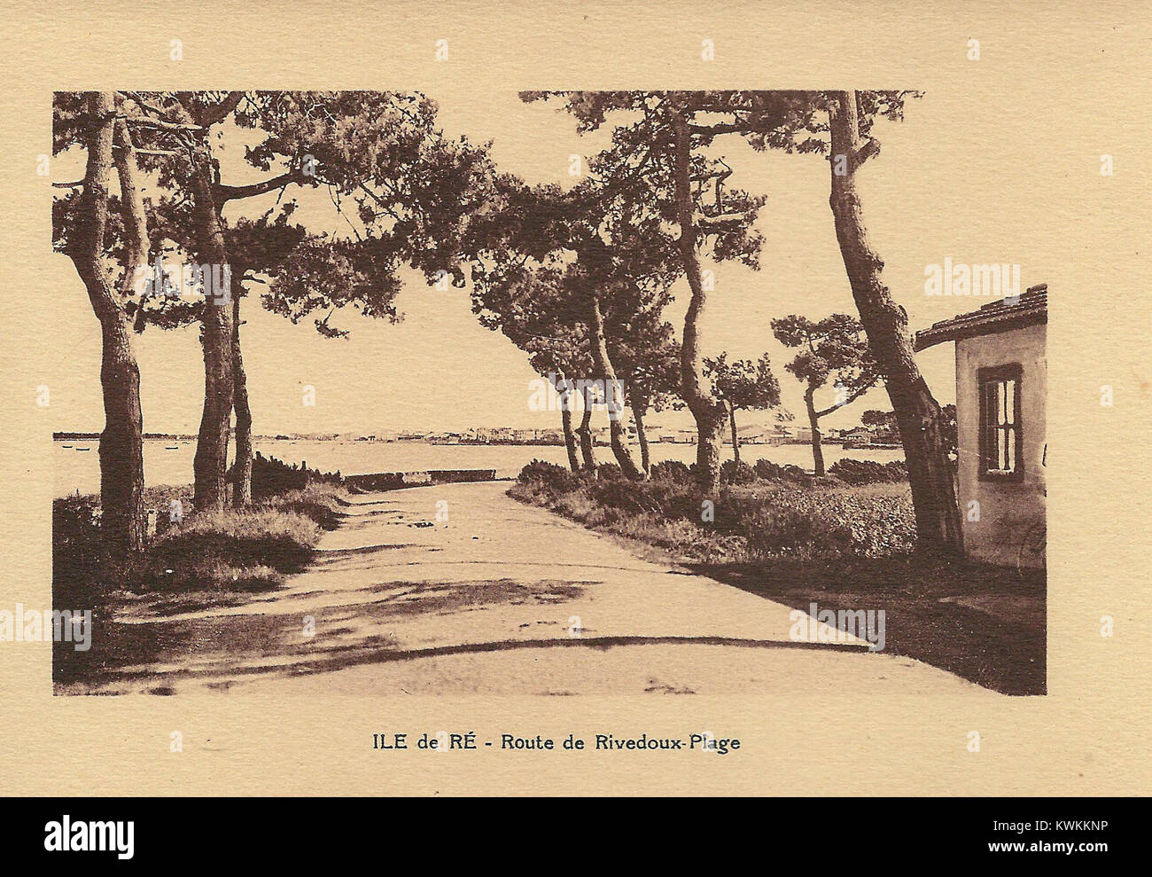 This image depicts the road leading to Rivedoux Plage on Île de Ré ...