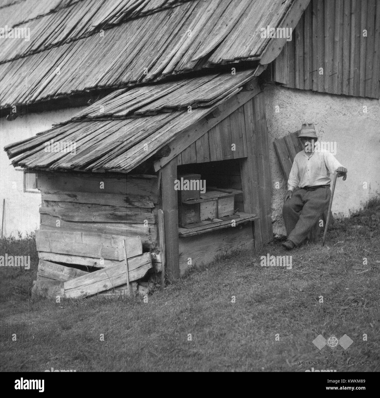 A 1952 photograph of a Slovenian beehive ('čebelnjak') in Trenta ...