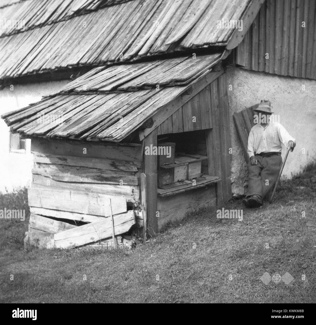 A 1952 photograph from Trenta showing a traditional Slovenian beehouse ...